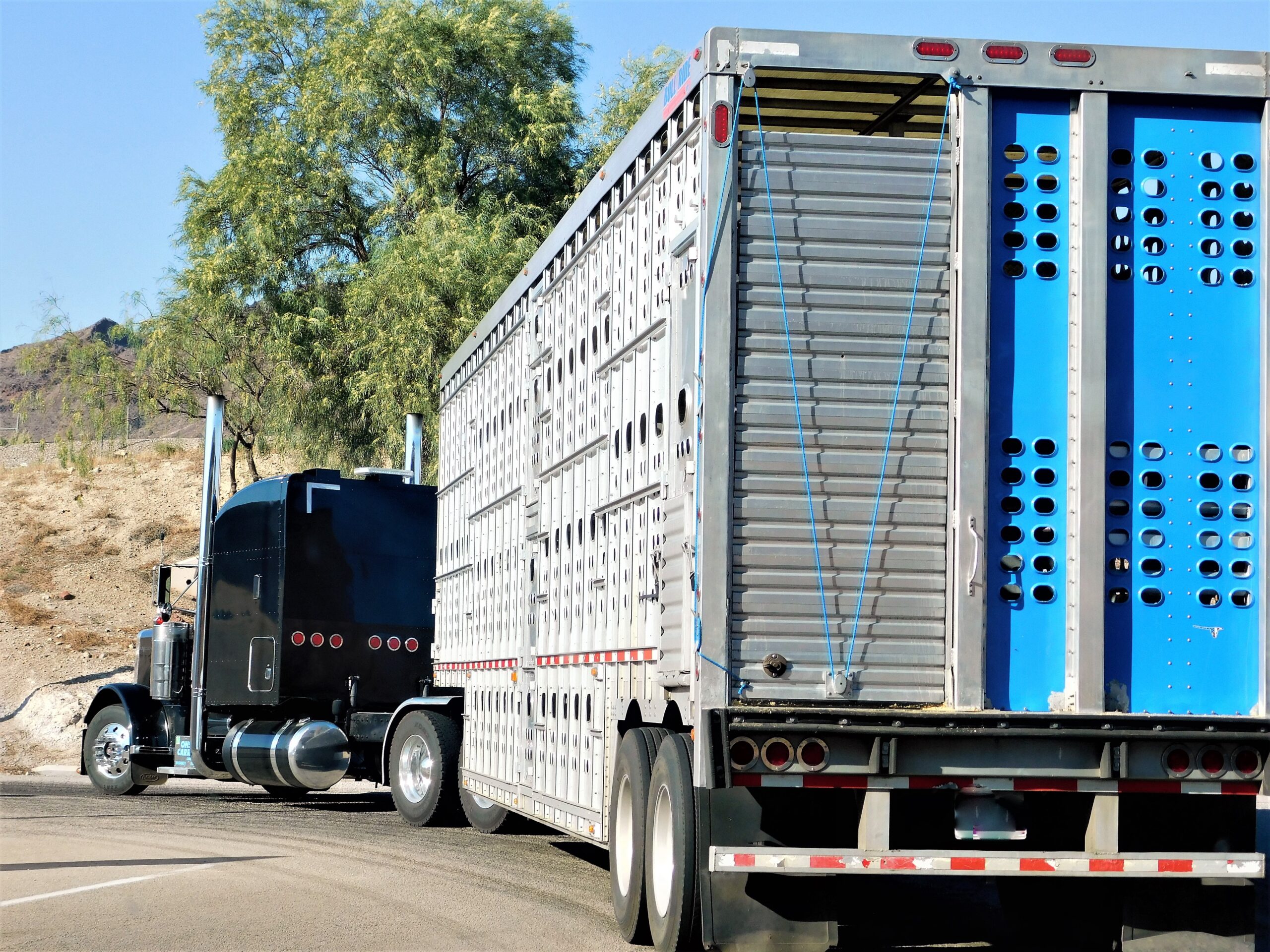 Terrain | Livestock Transportation Costs