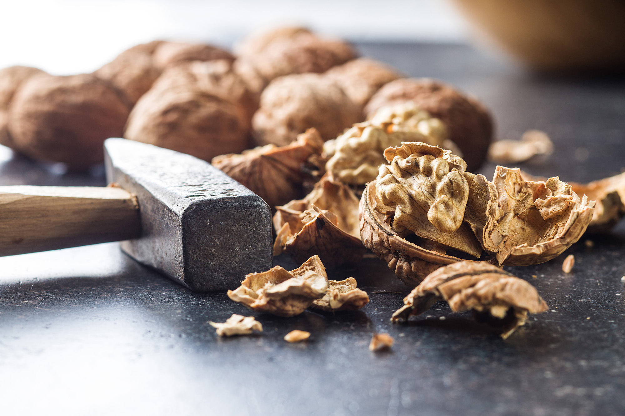 Terrain | Where Do Walnuts Go From Here?