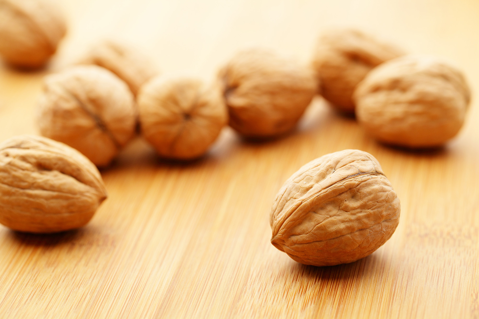 Terrain | Walnut Prices Likely to Remain Elevated Into Early 2025